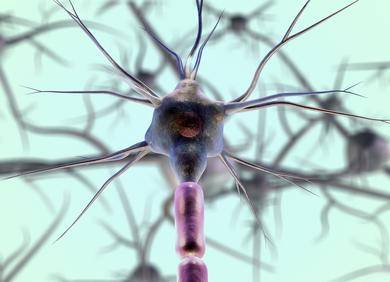 解決神經網路的百年難題，MIT新模型Liquid CfC讓模擬大腦動力學成為可能 - 幫趣