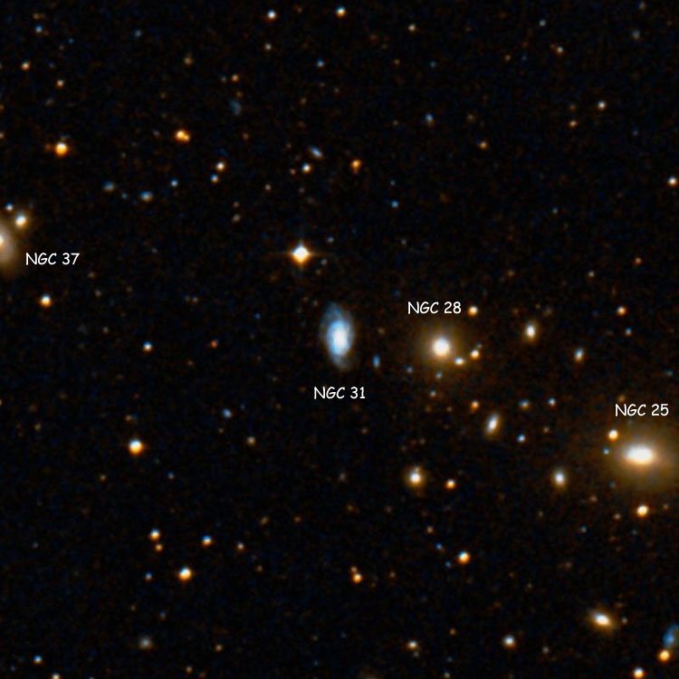 《PhD grind》讀後感（上）——對生活的啟示 - 幫趣